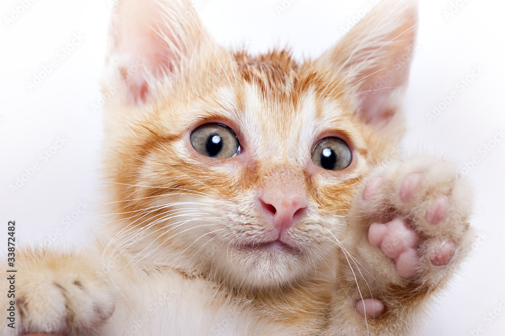 Hello Stock Photo | Adobe Stock