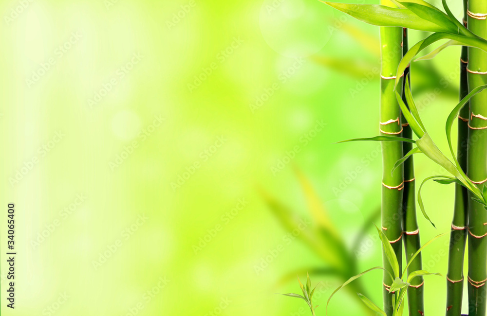 Bamboo background Stock Photo | Adobe Stock
