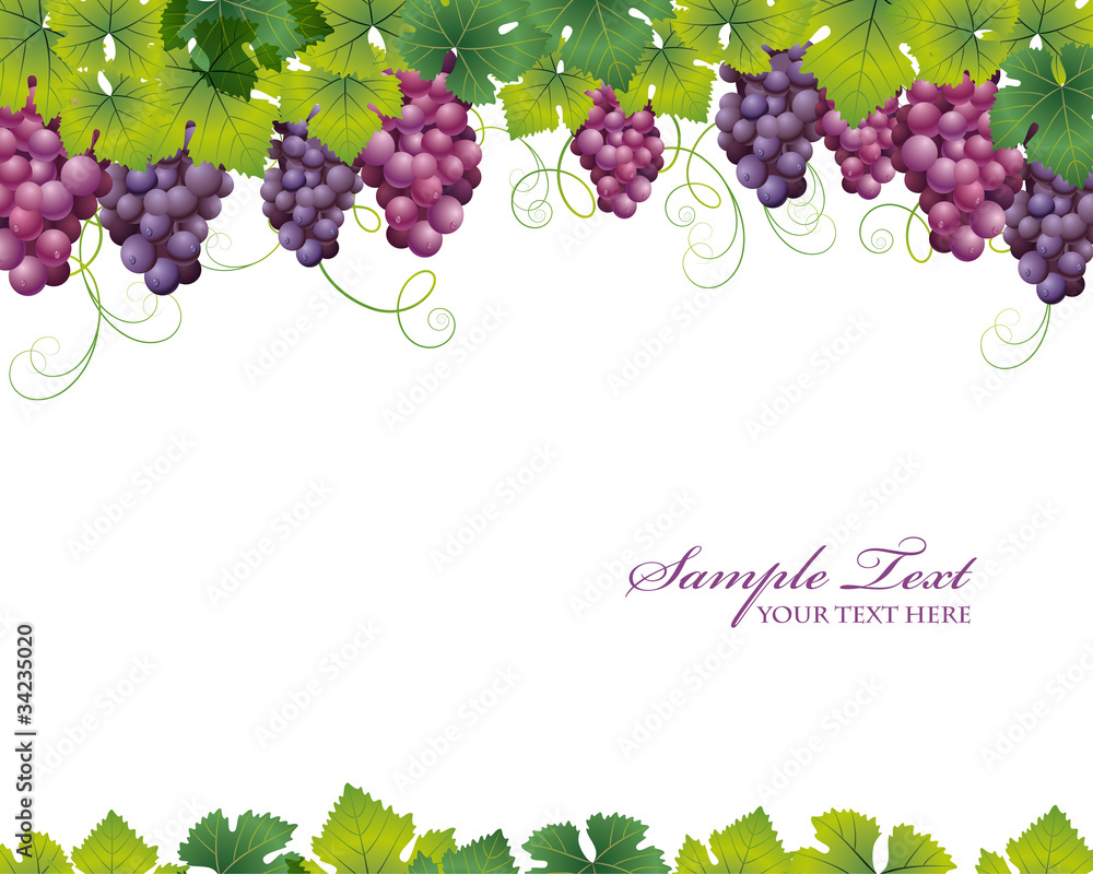 grape background Stock Vector | Adobe Stock
