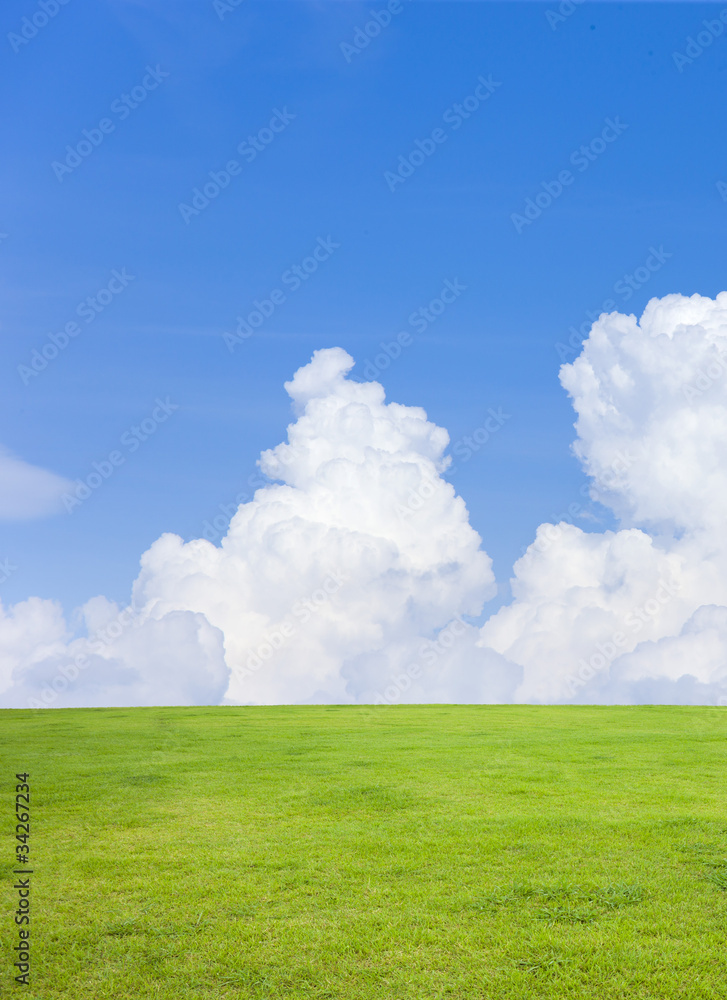 草原と青空 Stock 写真 Adobe Stock