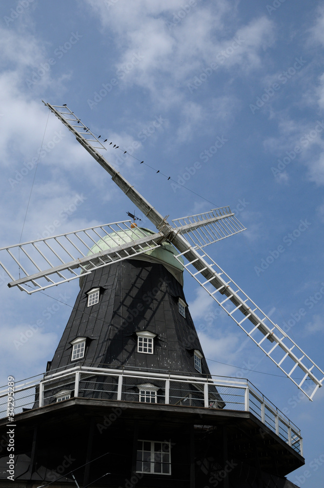 moulin à Sandvik dans l'île d’Oland en Suède Stock Photo | Adobe Stock