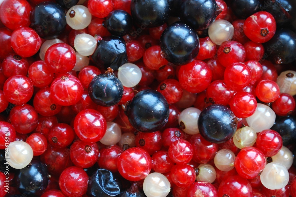 Fruits des Bois (fruits rouges cassis groseilles myrtilles) Photos ...