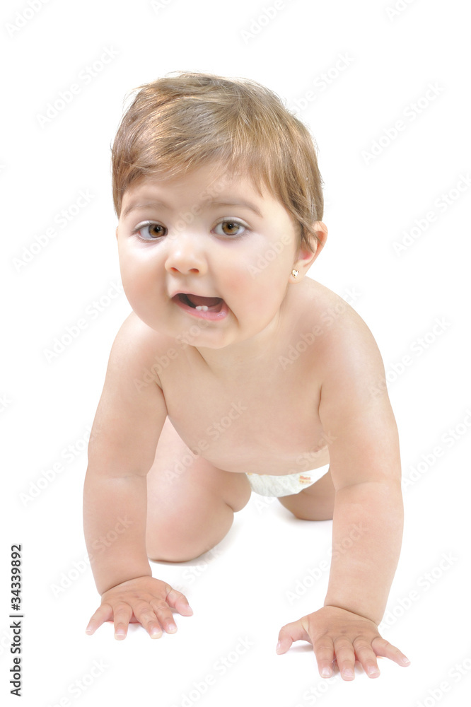 Gateando hacia la cámara. foto de Stock | Adobe Stock