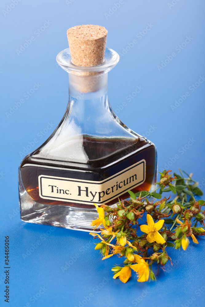 Hypericum plant and extract Stock Photo | Adobe Stock