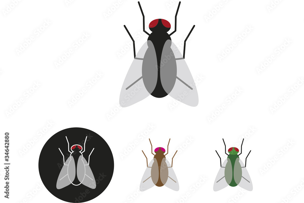 Fly insect icon/pictogram Stock Vector | Adobe Stock