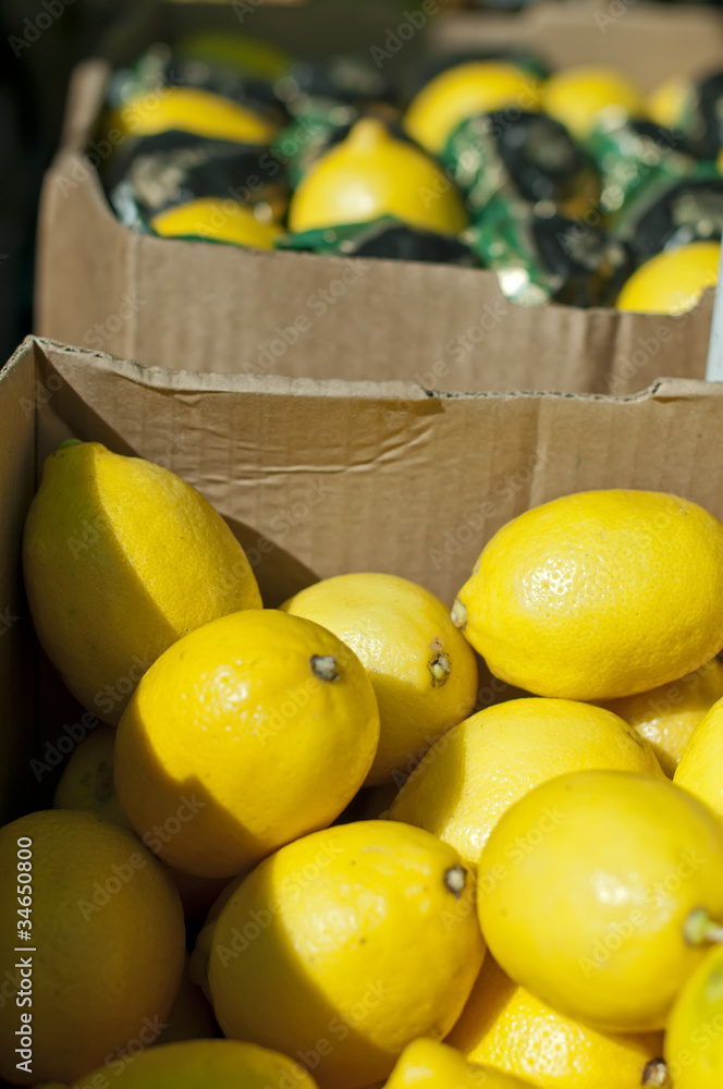 Lemons in boxes Stock Photo | Adobe Stock