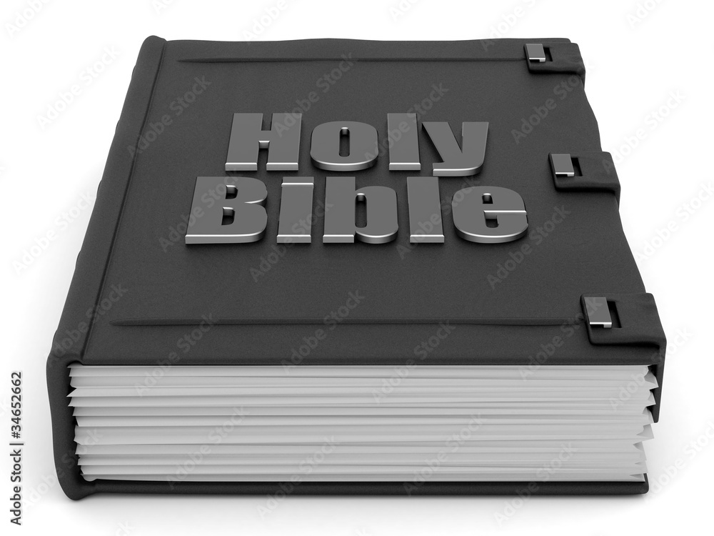 White Holy Bible Cover