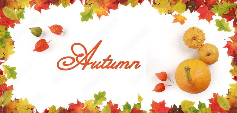 autumn Stock Illustration | Adobe Stock