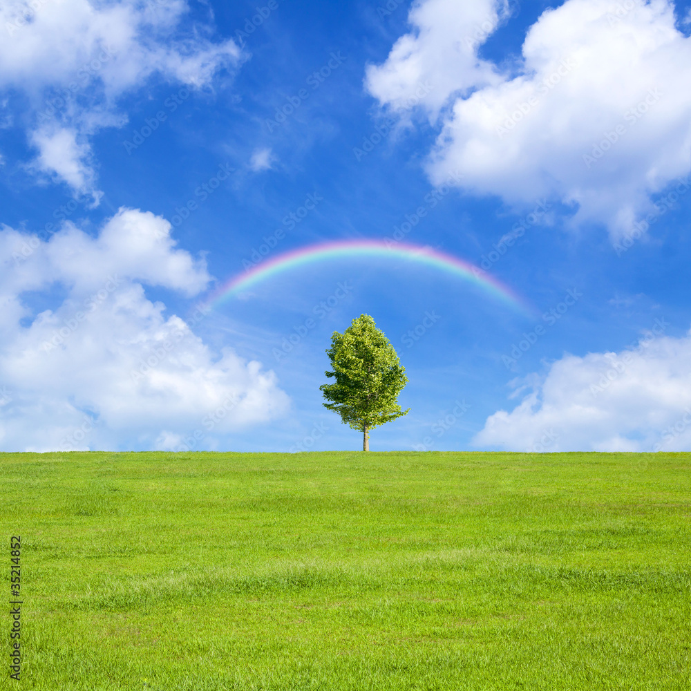 草原と青空と虹 Stock 写真 Adobe Stock