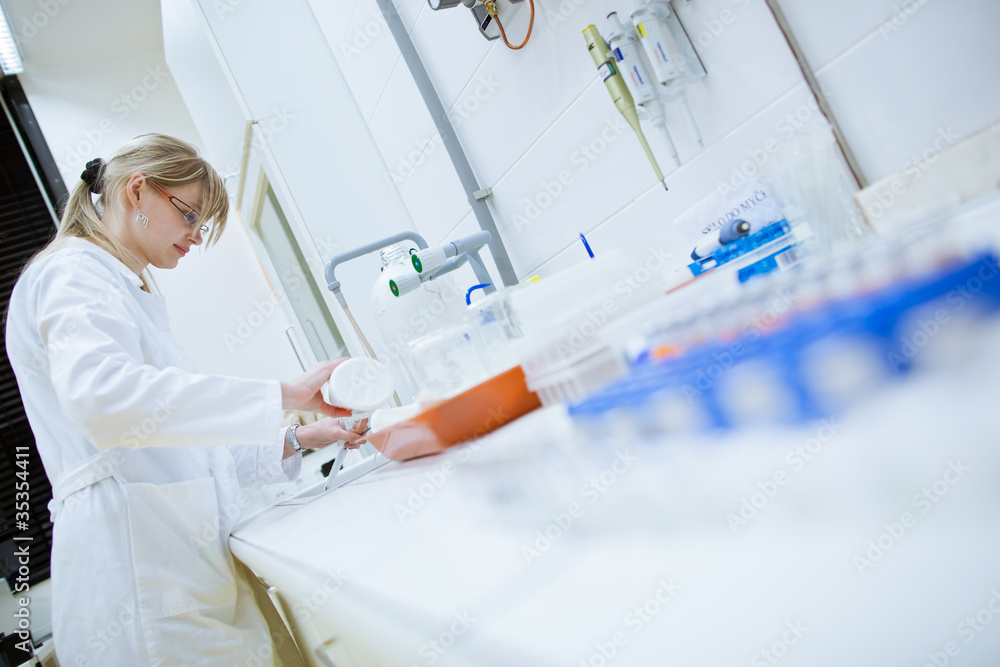 female researcher carrying out research experiments in a lab Stock ...