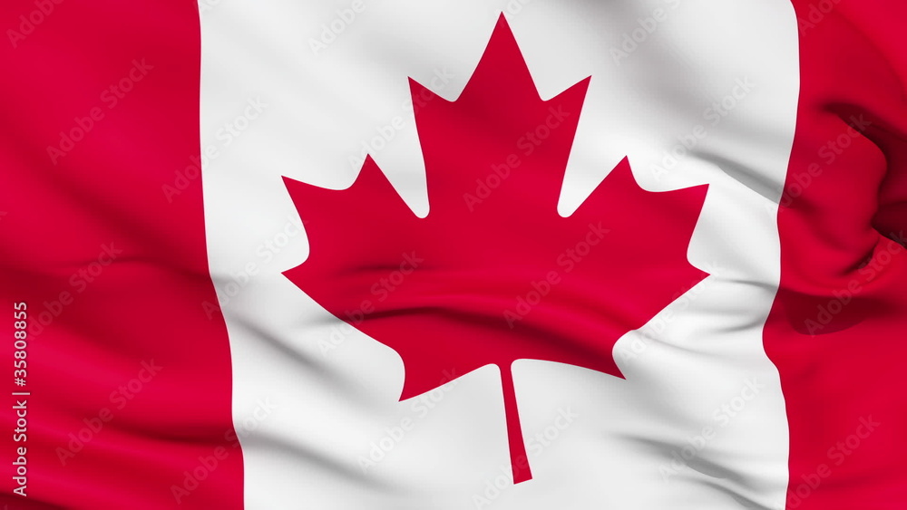 Realistic 3d seamless looping Canada flag waving in the wind. Stock ...