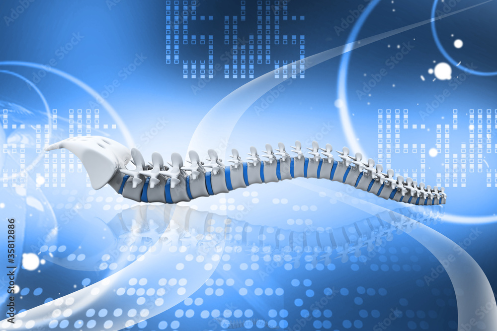 Digital illustration of human spine in colour background Stock ...