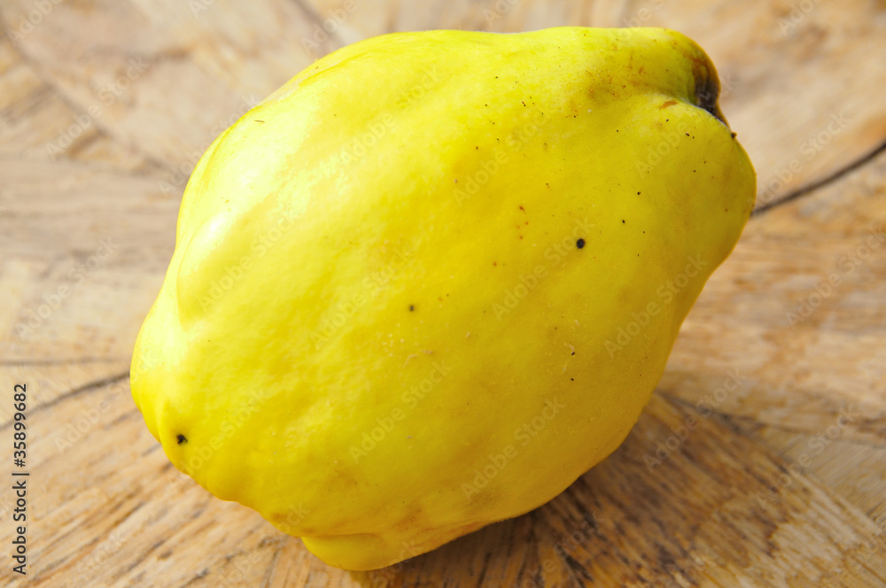 Coing Photos | Adobe Stock