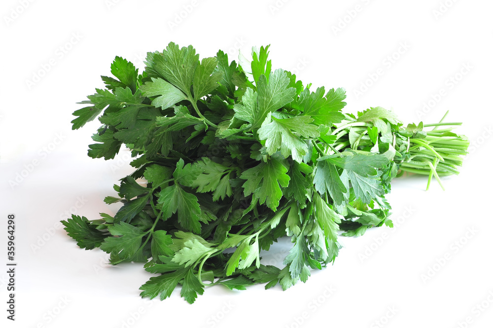 Bouquet de persil plat Stock Photo | Adobe Stock