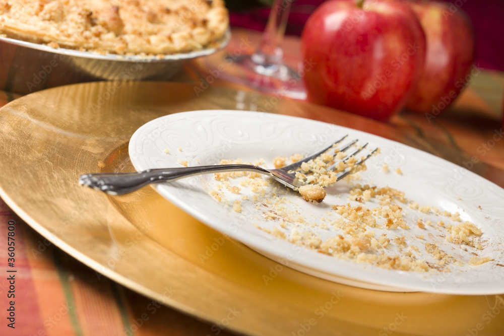 Empty Plate With Pie Crumbs