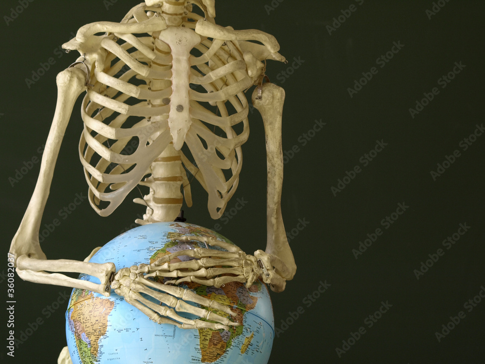 esqueleto Stock Photo | Adobe Stock