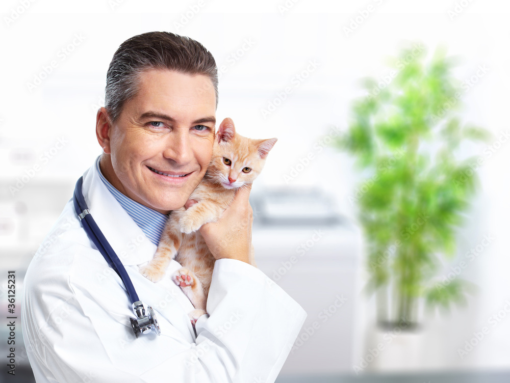 Doctor veterinarian. Stock Photo | Adobe Stock