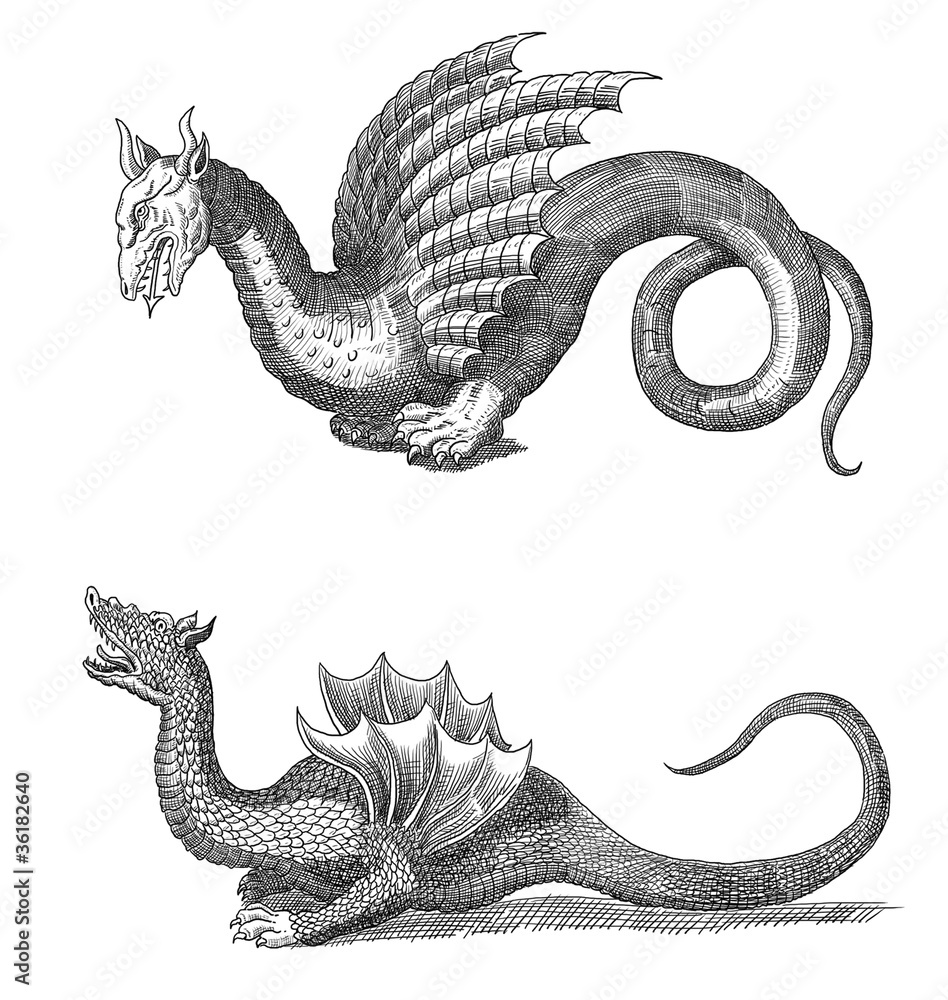 Old dragon illustration Stock Illustration | Adobe Stock