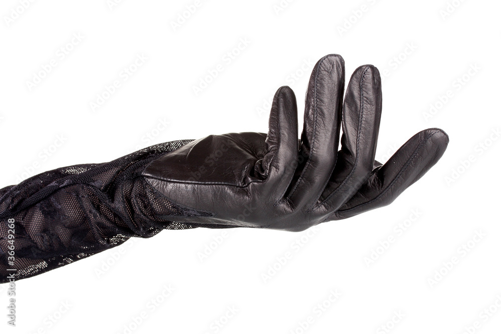 women hand in black leather glove isolated on white Stock Photo | Adobe ...