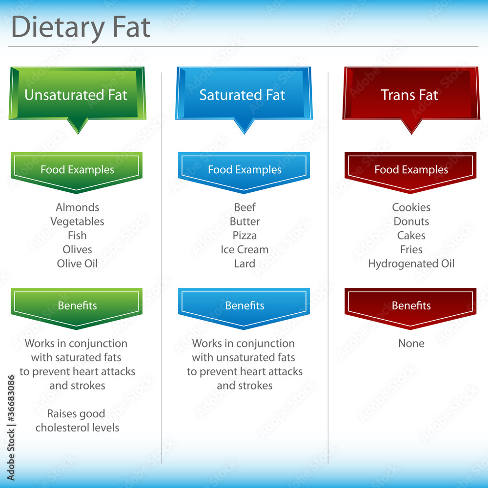 Dietary Fat Chart Stock Vector | Adobe Stock