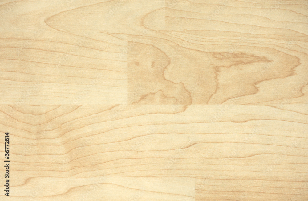 Wood texture. Maple Stock Photo | Adobe Stock