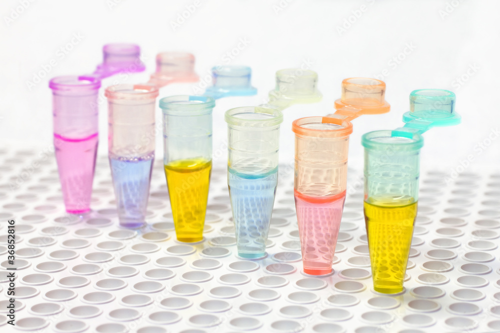 PCR microtubes Stock Photo | Adobe Stock