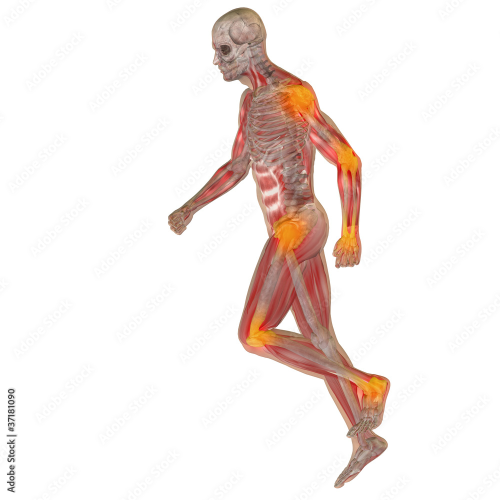 High resolution conceptual 3D human for anatomy Stock Illustration ...
