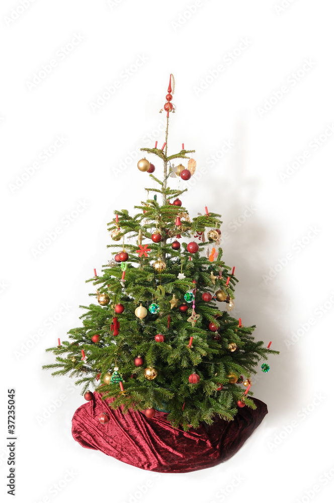 Weihnachtsbaum, Christbaum 01 Stock-Foto | Adobe Stock