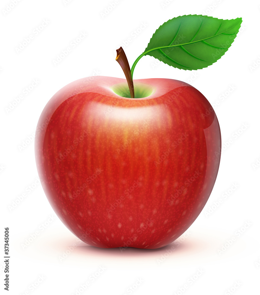 red apple Stock Illustration | Adobe Stock