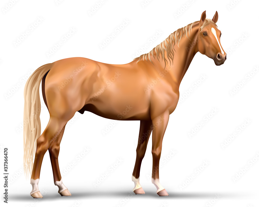 Vector photo-realistic red horse Stock Vector | Adobe Stock
