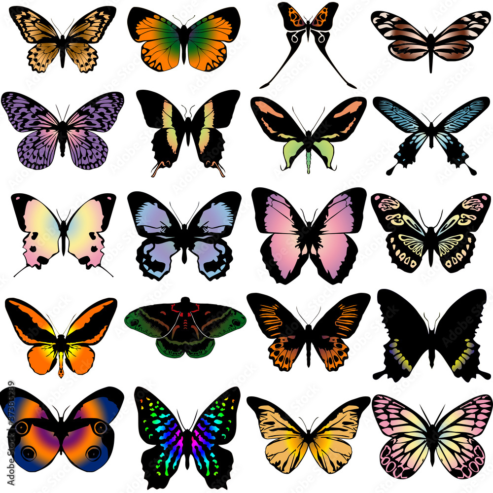 Mariposas de colores Stock Illustration | Adobe Stock