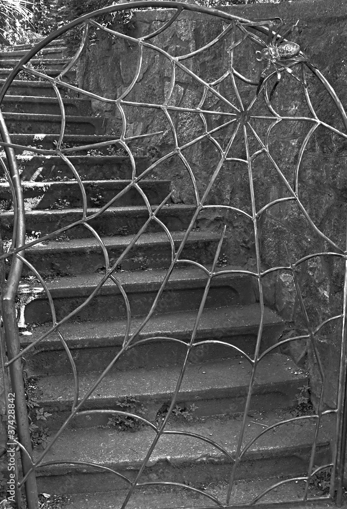 Spider and Web Iron Gate With Stairs Stock Photo | Adobe Stock
