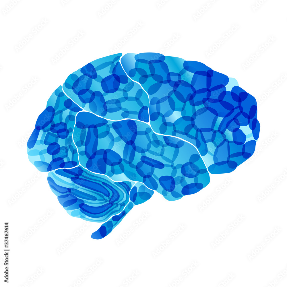 Abstract Brain Vector