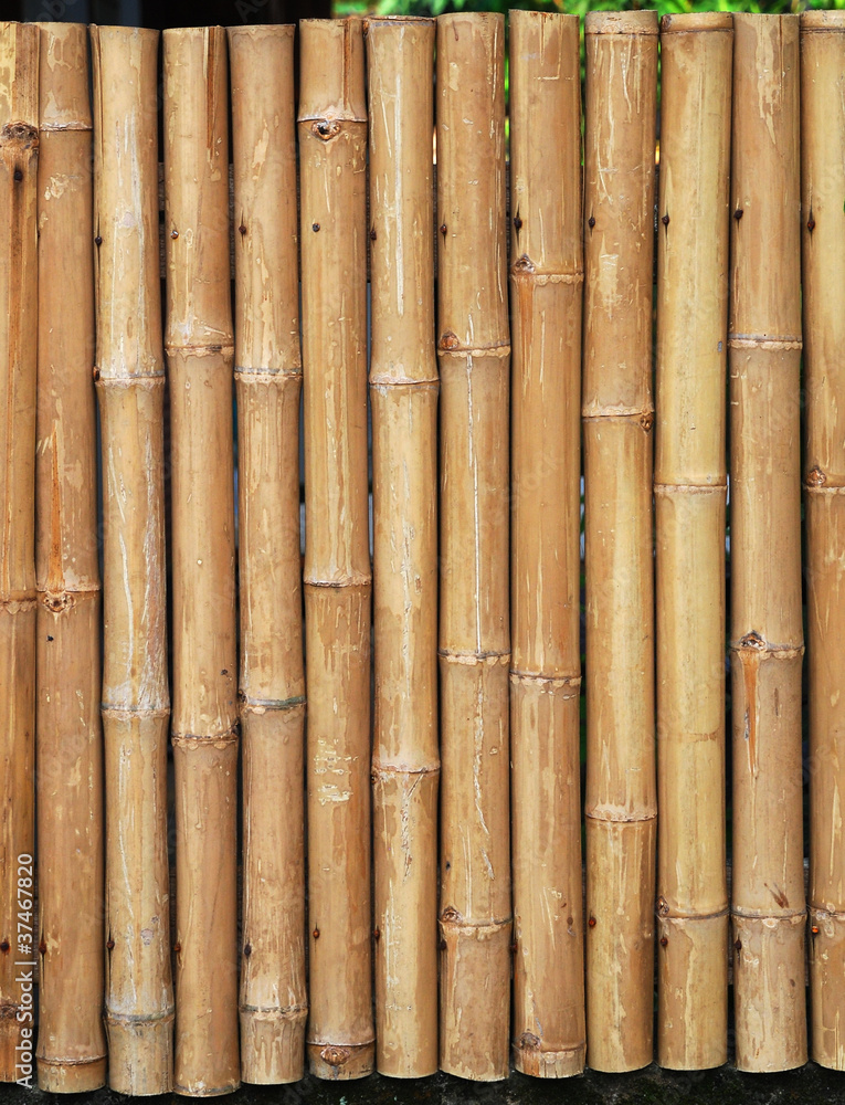 Bamboo background Stock Photo | Adobe Stock