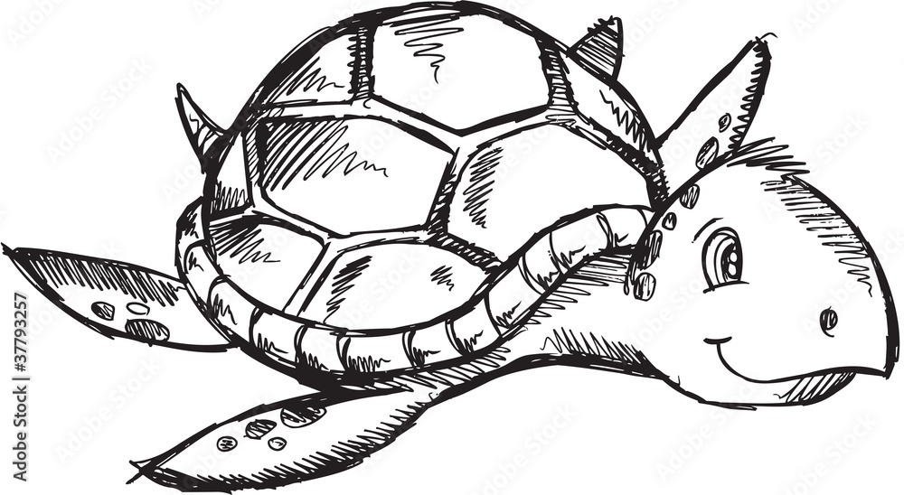 Cute Turtle Doodle