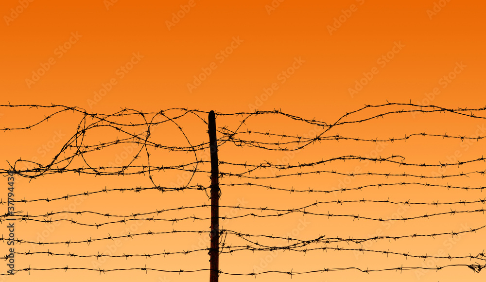Barbed wire at sunset sky Stock Photo | Adobe Stock