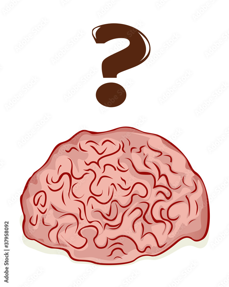 Brain and a question mark Stock Vector | Adobe Stock