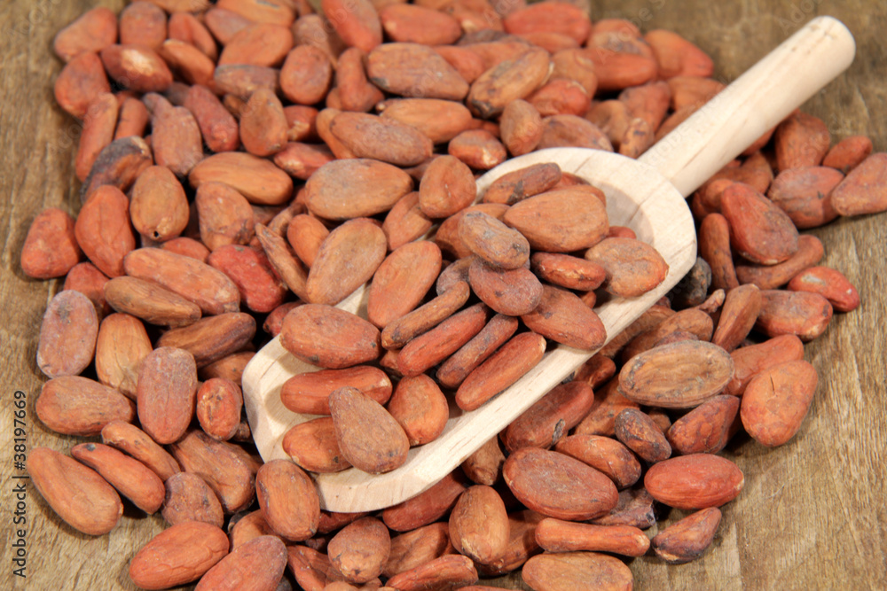 Kakaobohnen Stock-Foto | Adobe Stock