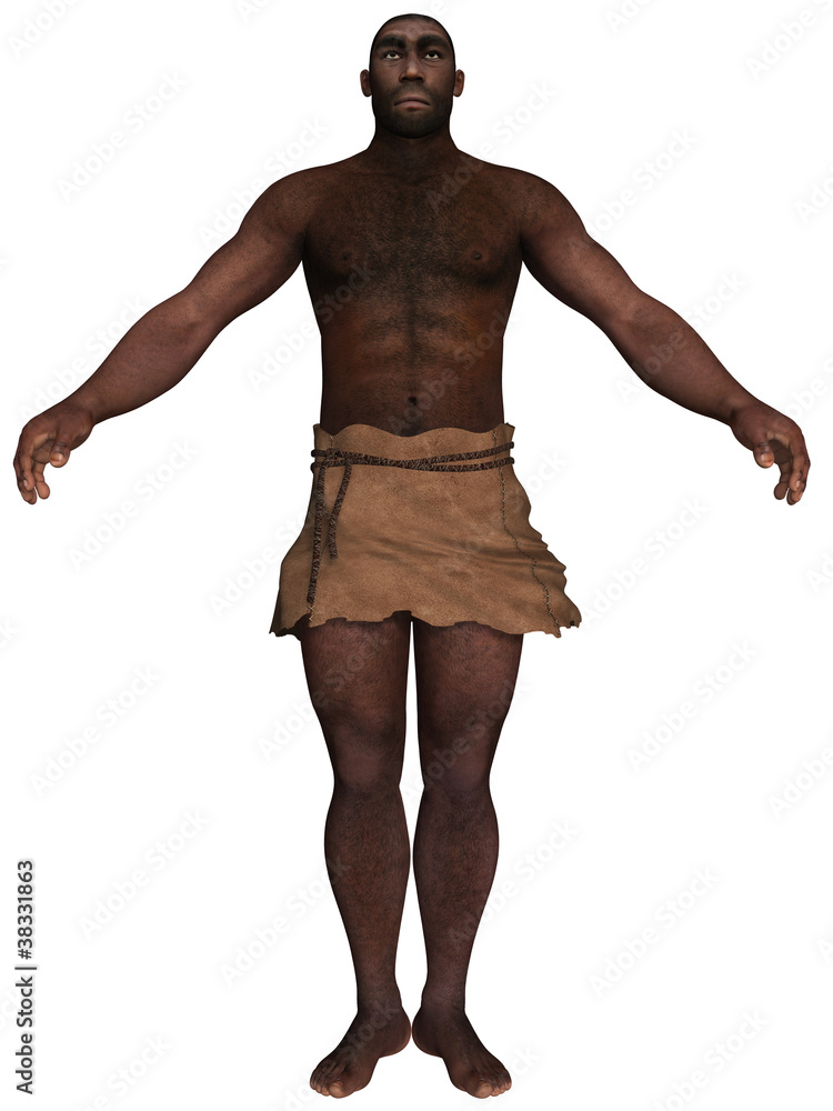 Homo Erectus Stock Illustration | Adobe Stock
