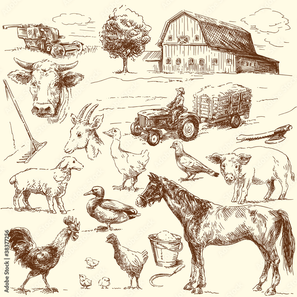 farm Stock Vector | Adobe Stock