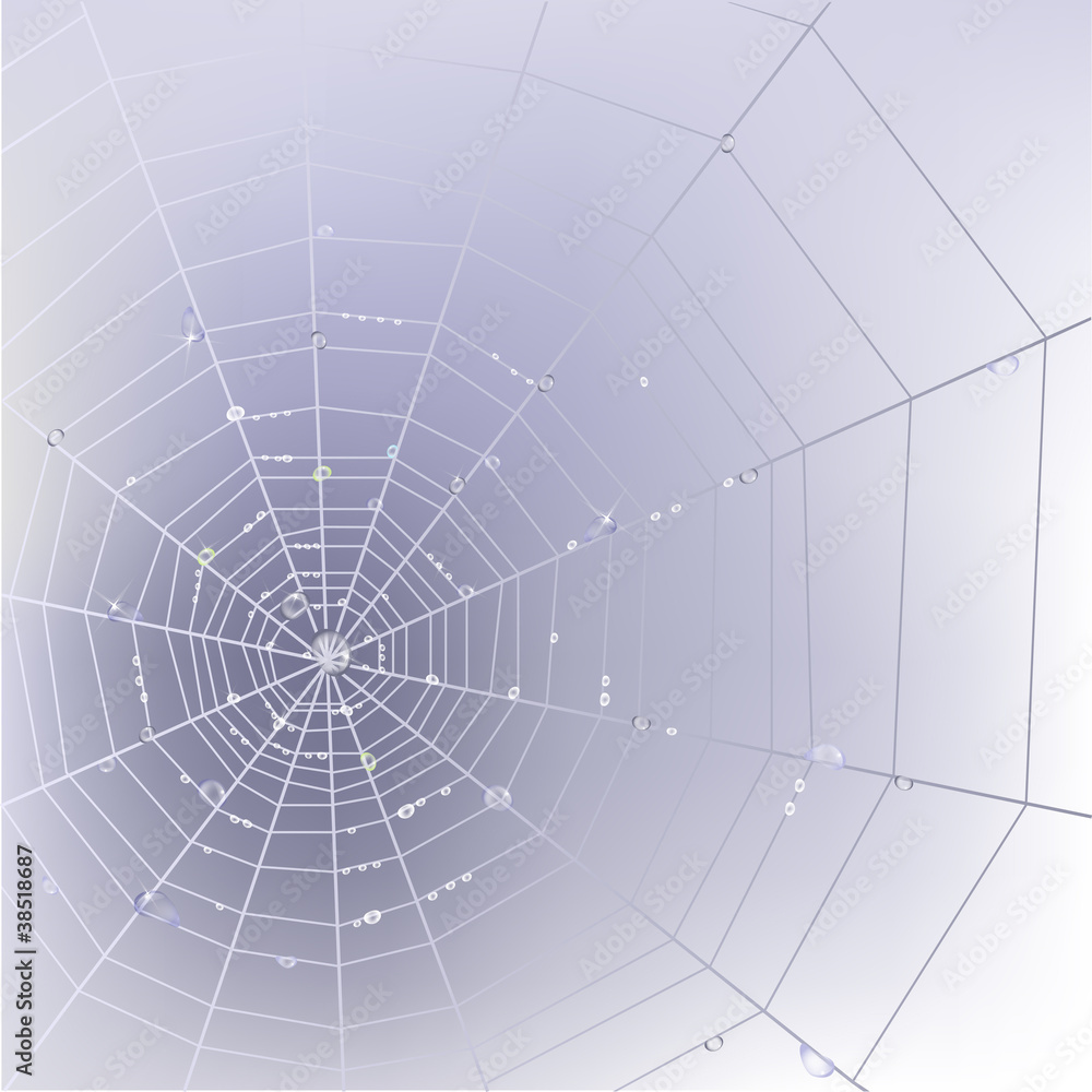 Stylish background with spider web Stock Vector | Adobe Stock
