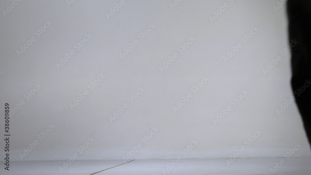 Guy-rapper in cap and in light clothes poses for photographer Stock ビデオ ...