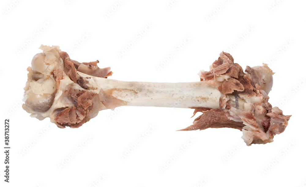 Bone with meat Stock Photo | Adobe Stock