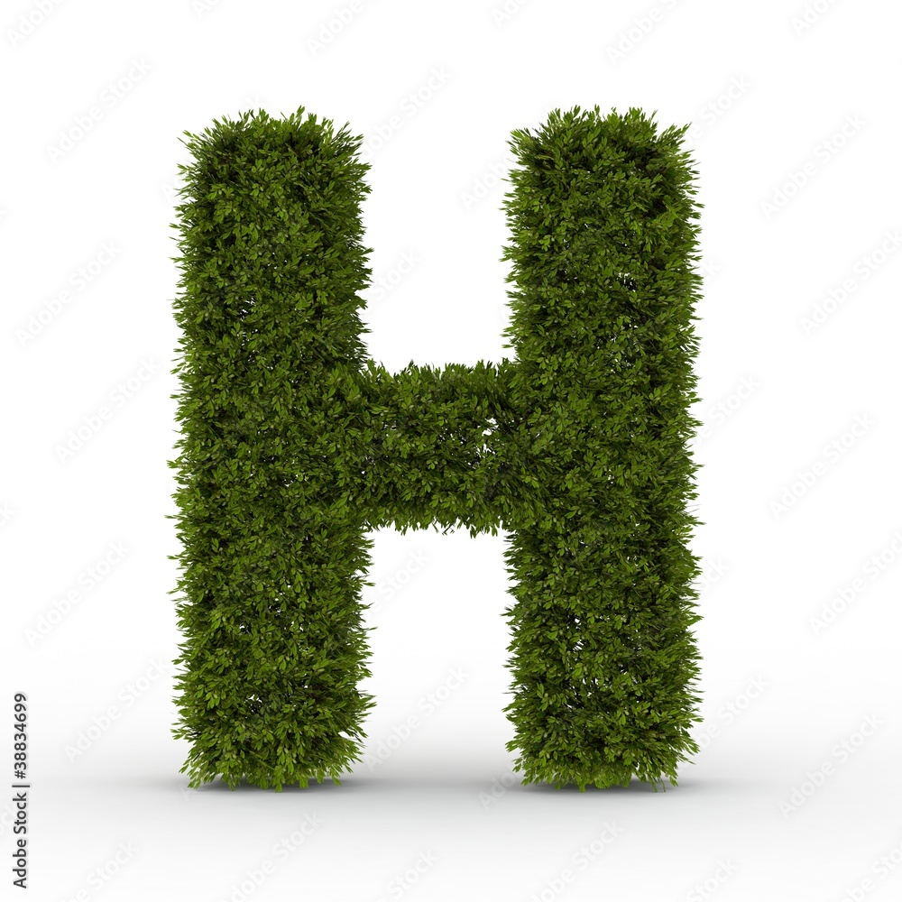 Buchstabe H Natur Stock-Illustration | Adobe Stock