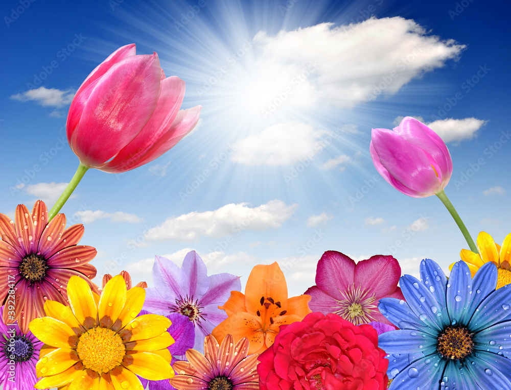 floral background Stock Photo | Adobe Stock