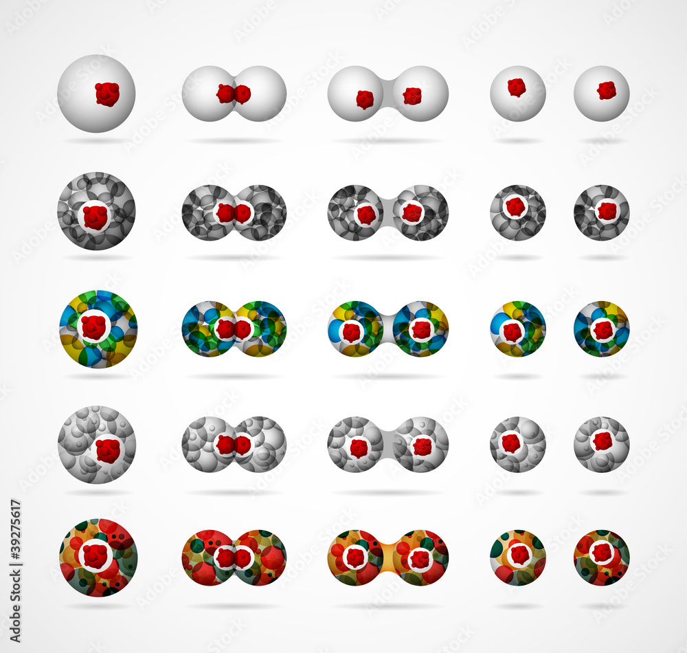 Cell division Stock Vector | Adobe Stock
