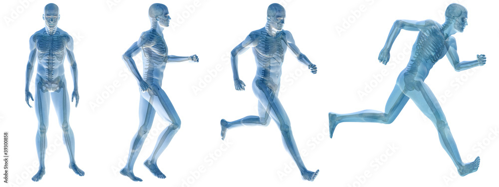 High resolution conceptual man anatomy Stock Illustration | Adobe Stock