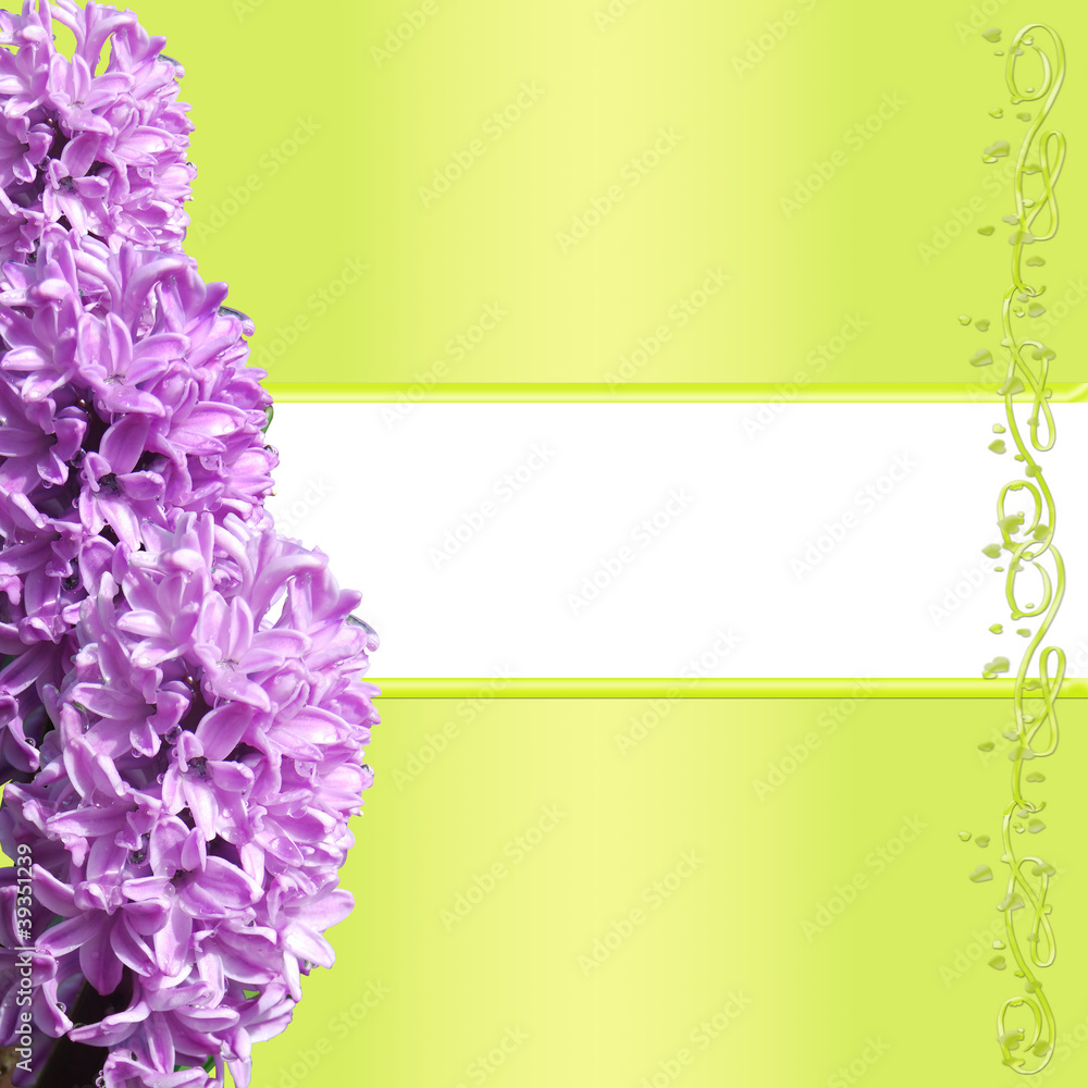 frame of hyacinth Stock Photo | Adobe Stock