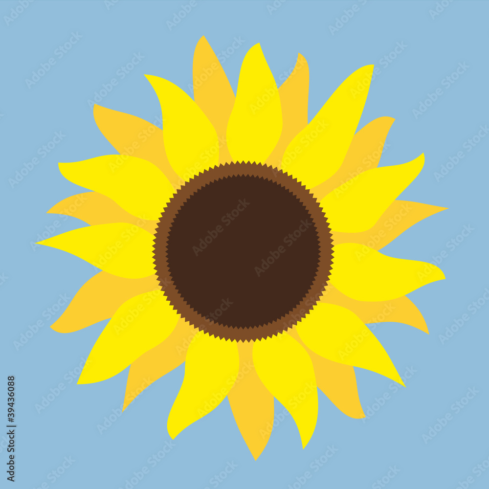 Sonnenblume Stock-Vektorgrafik | Adobe Stock