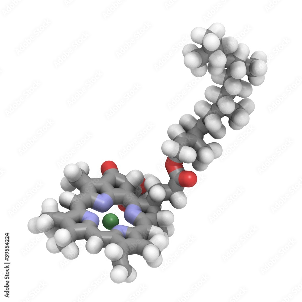 Chlorophyll 3d Structure